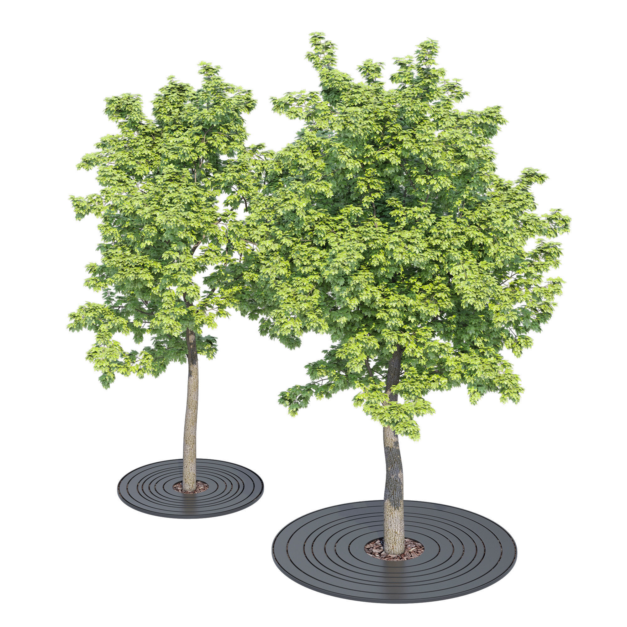 Croso circles grille 3D model | CGTrader