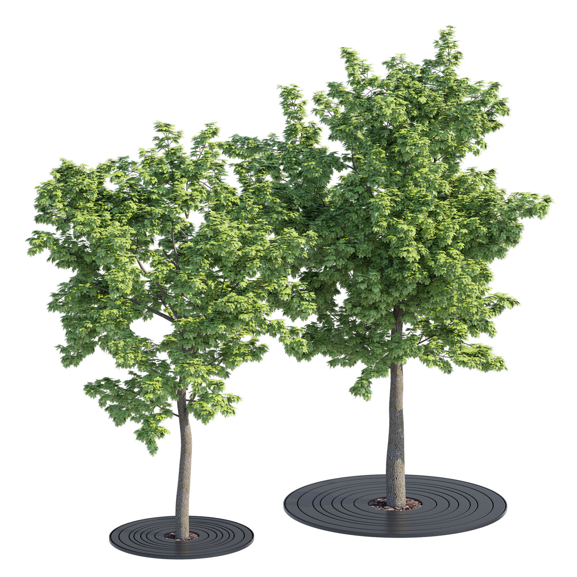 Croso circles grille 3D model | CGTrader