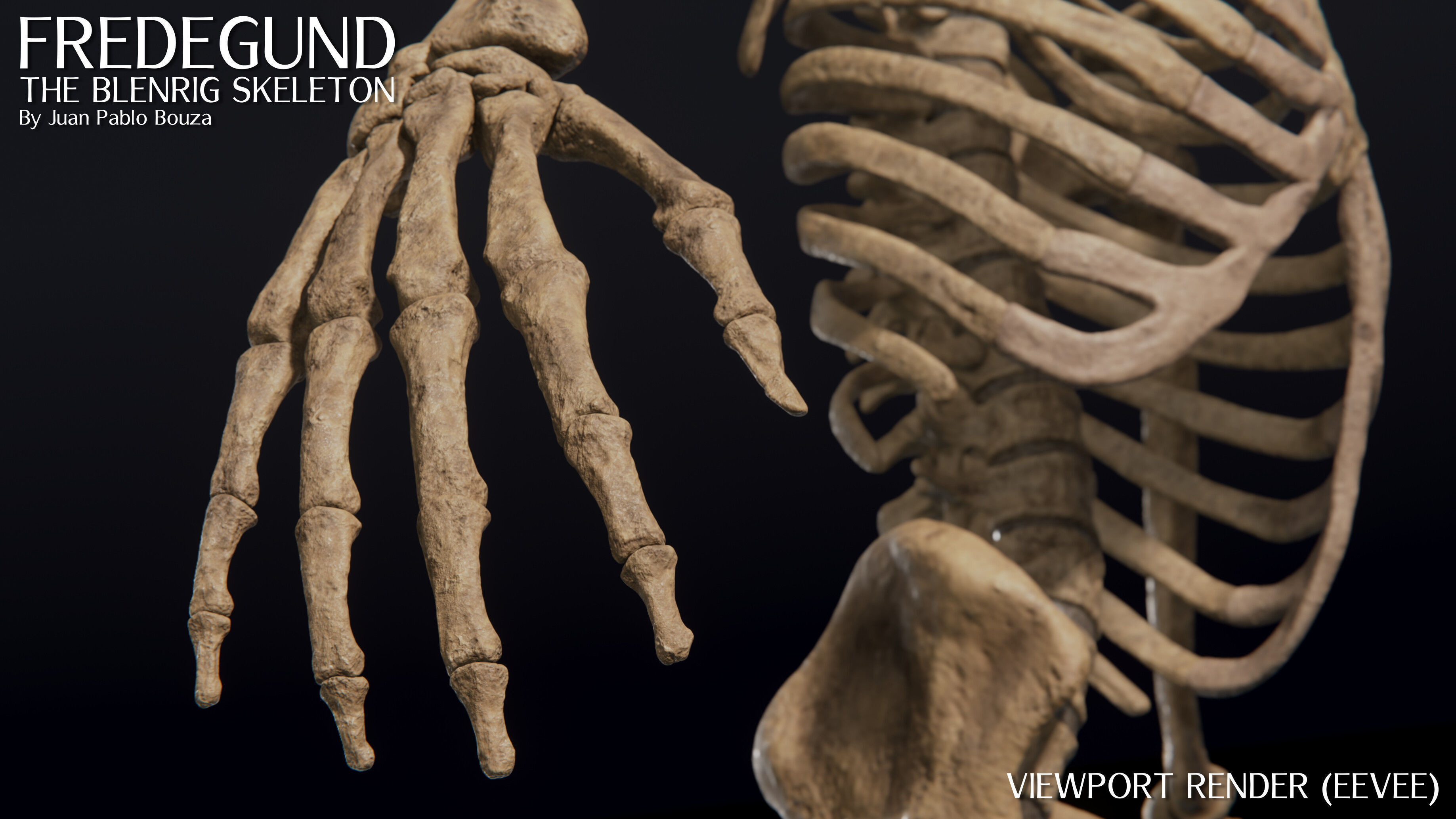 3D model Fredegund - The BlenRig Skeleton VR / AR / low-poly | CGTrader