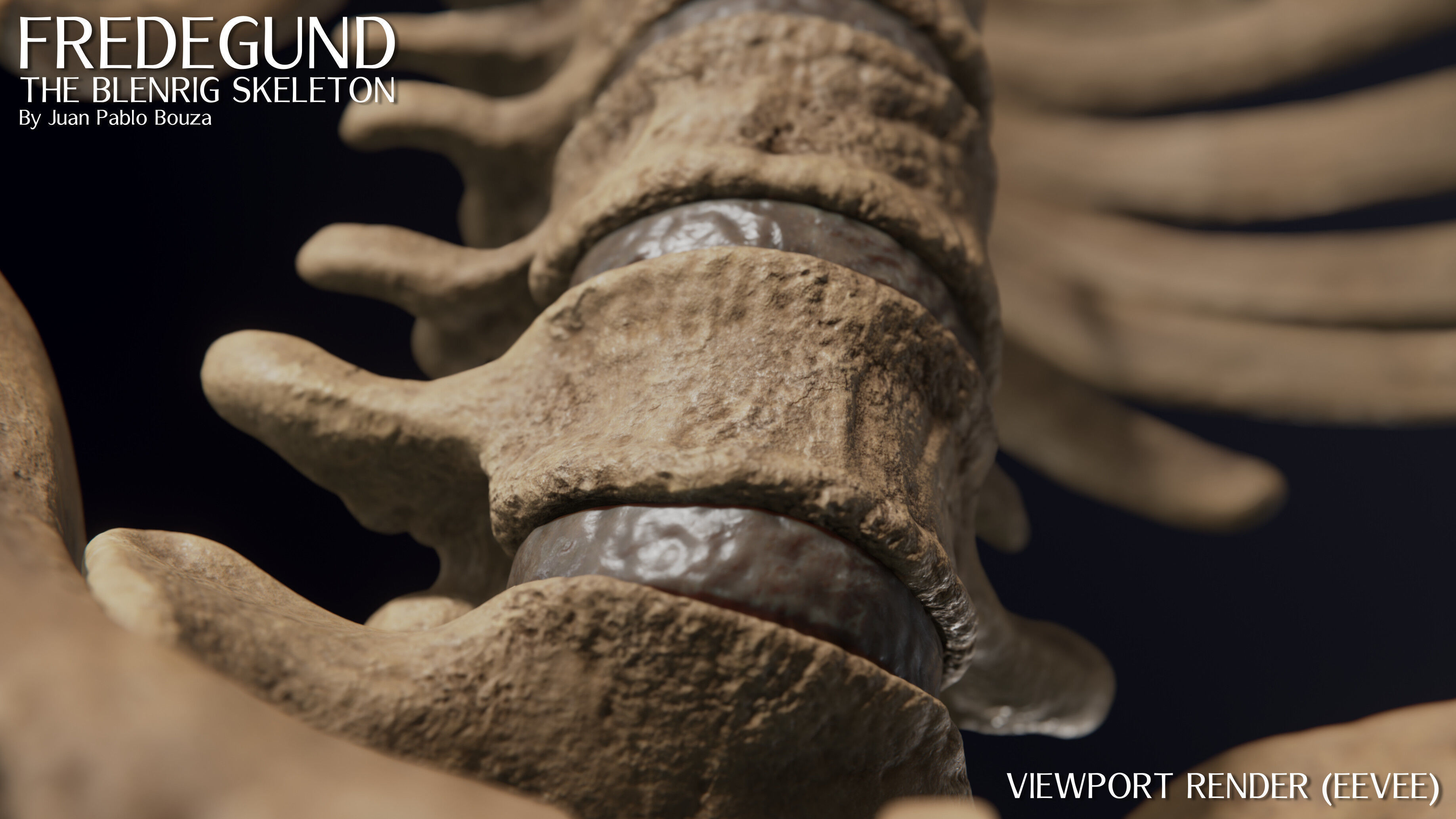 3D model Fredegund - The BlenRig Skeleton VR / AR / low-poly | CGTrader