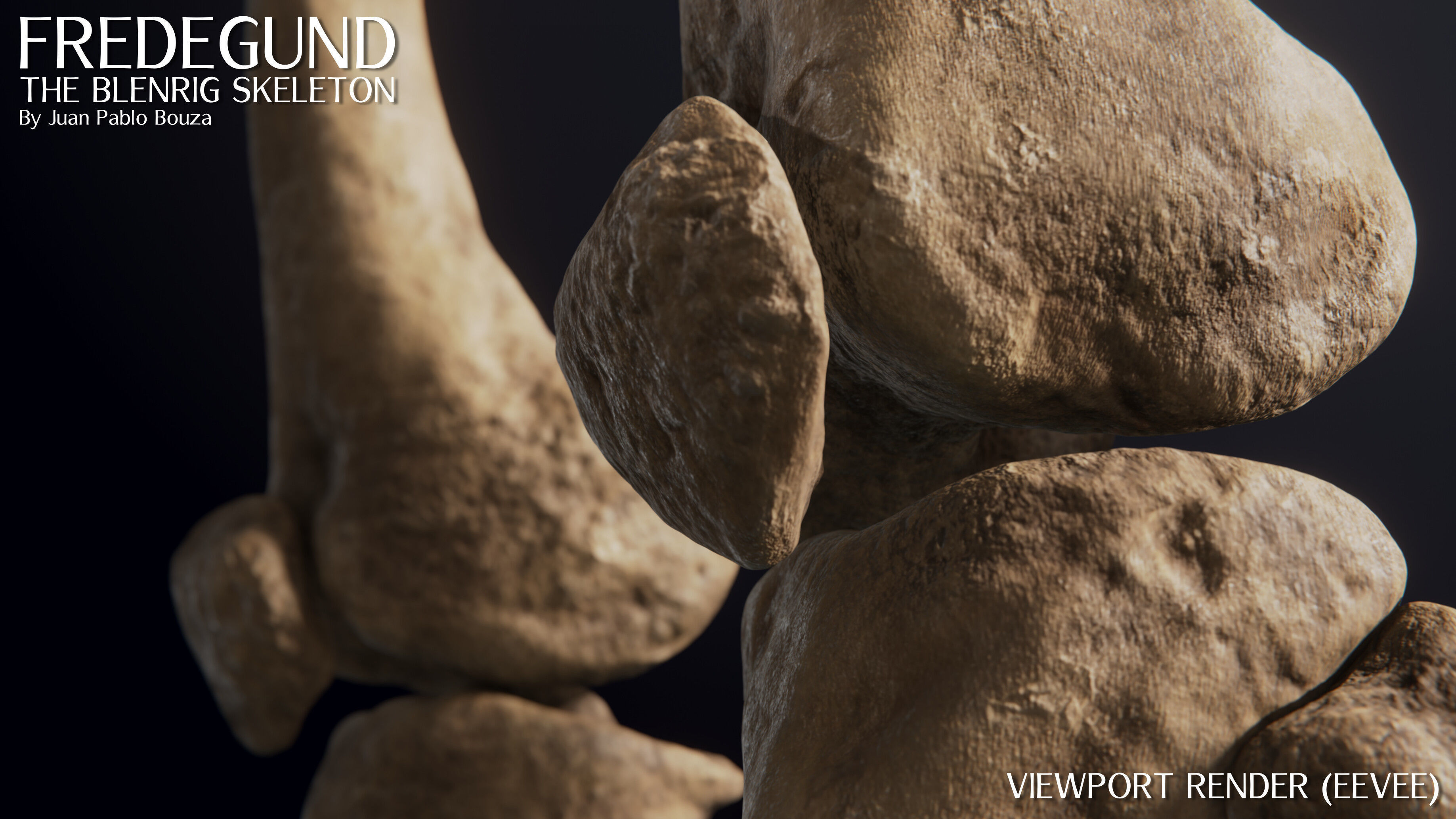 3D model Fredegund - The BlenRig Skeleton VR / AR / low-poly | CGTrader