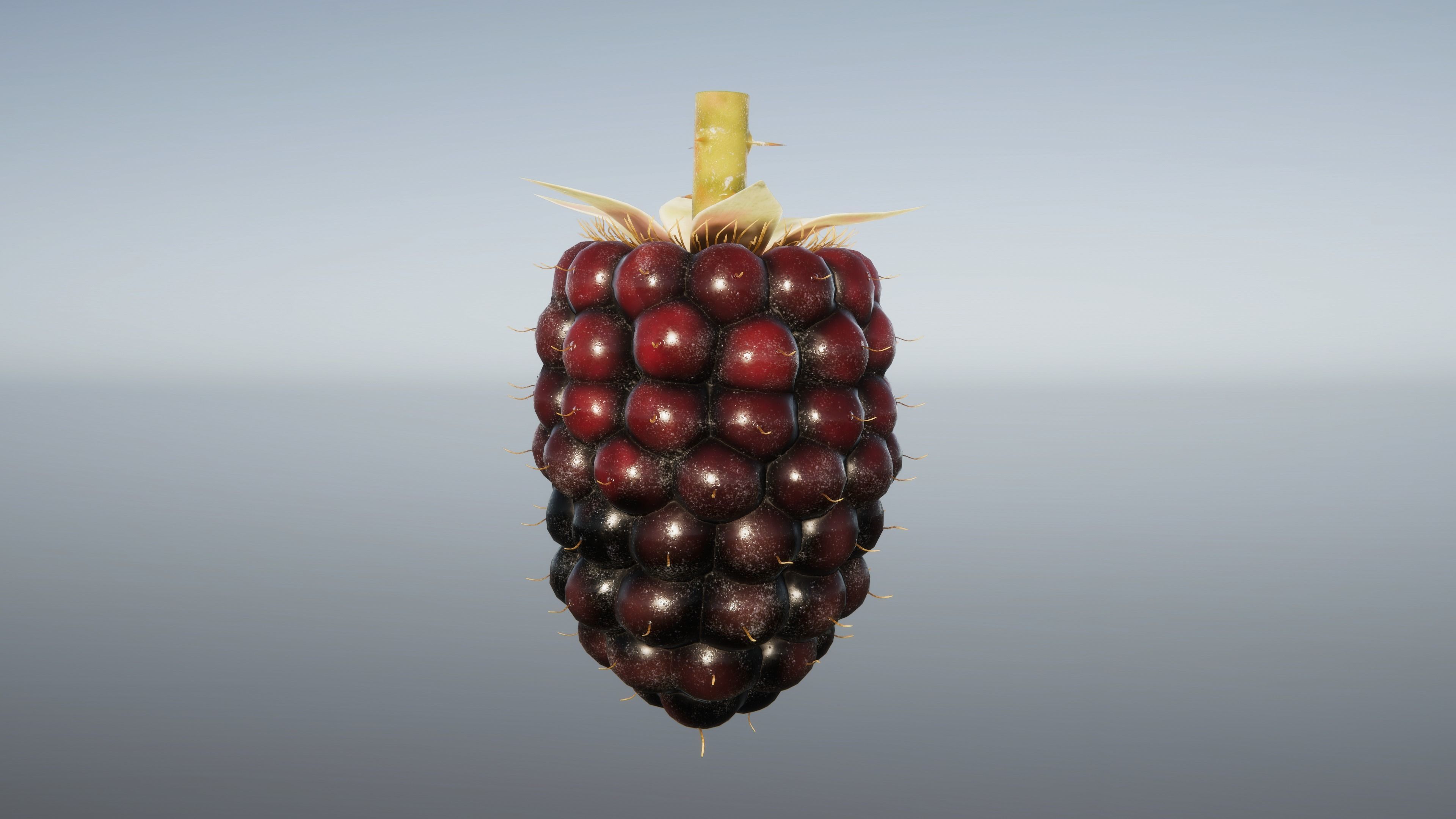 3D model Berries and Cherries VR / AR / low-poly | CGTrader