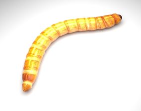 Worm 3D Models | CGTrader