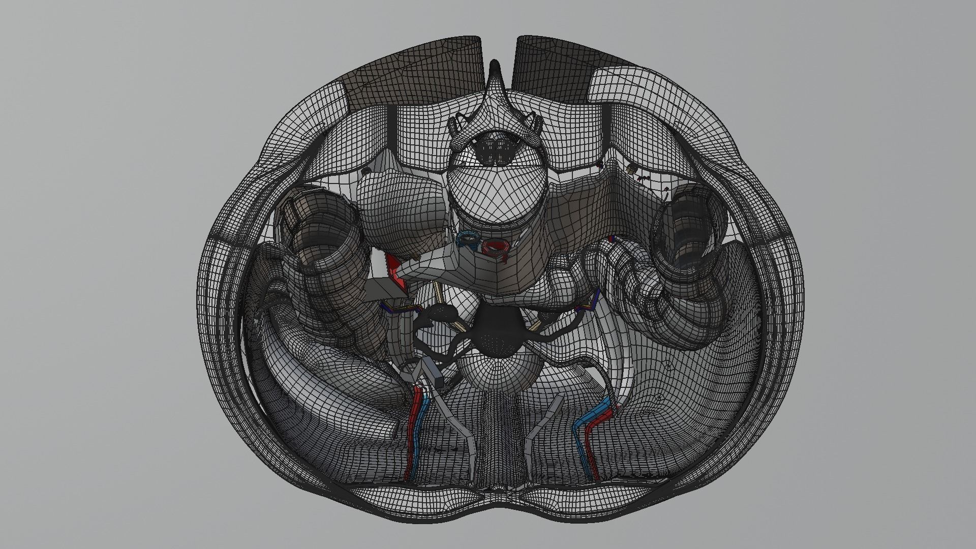 Pelvis and Perineum 3D model | CGTrader