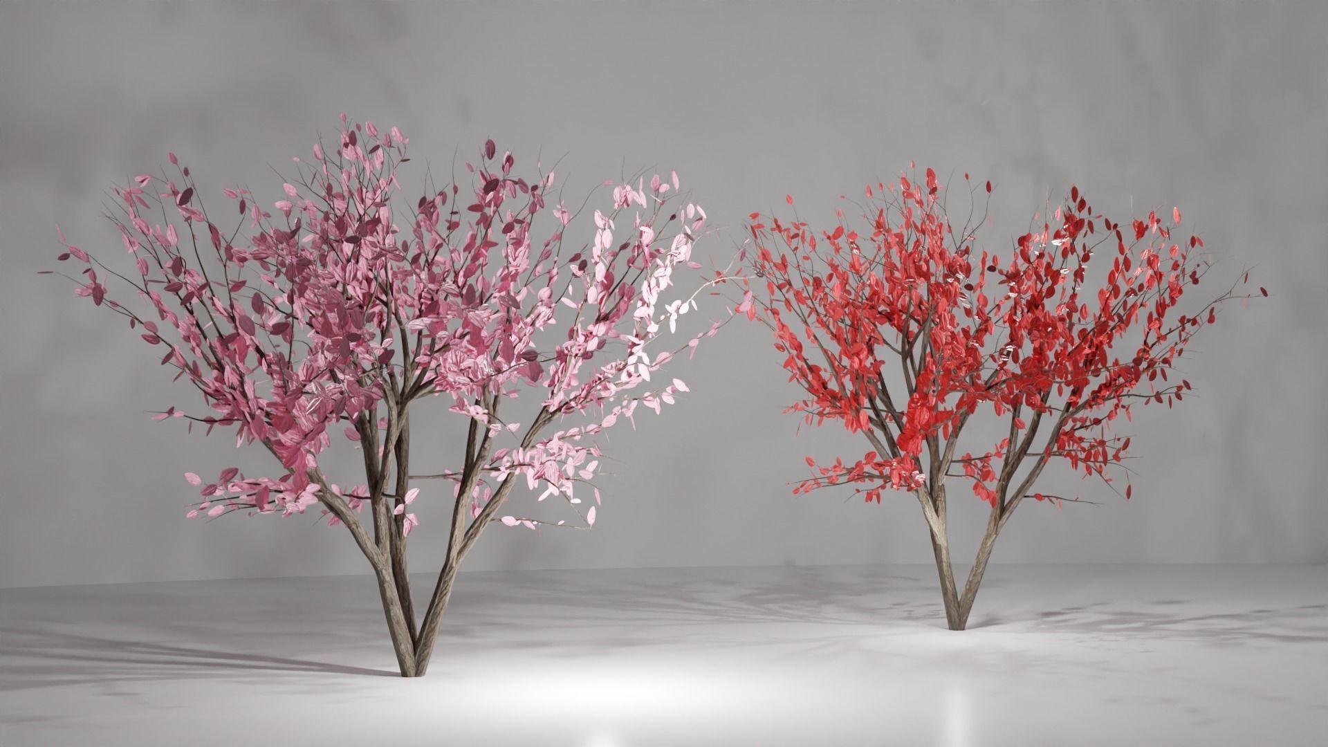 Japanese Trees Collection 3D model | CGTrader