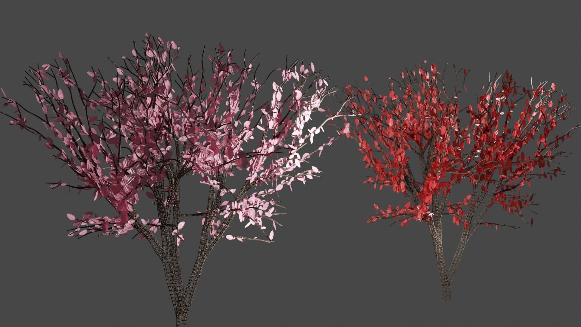 Japanese Trees Collection 3D model | CGTrader