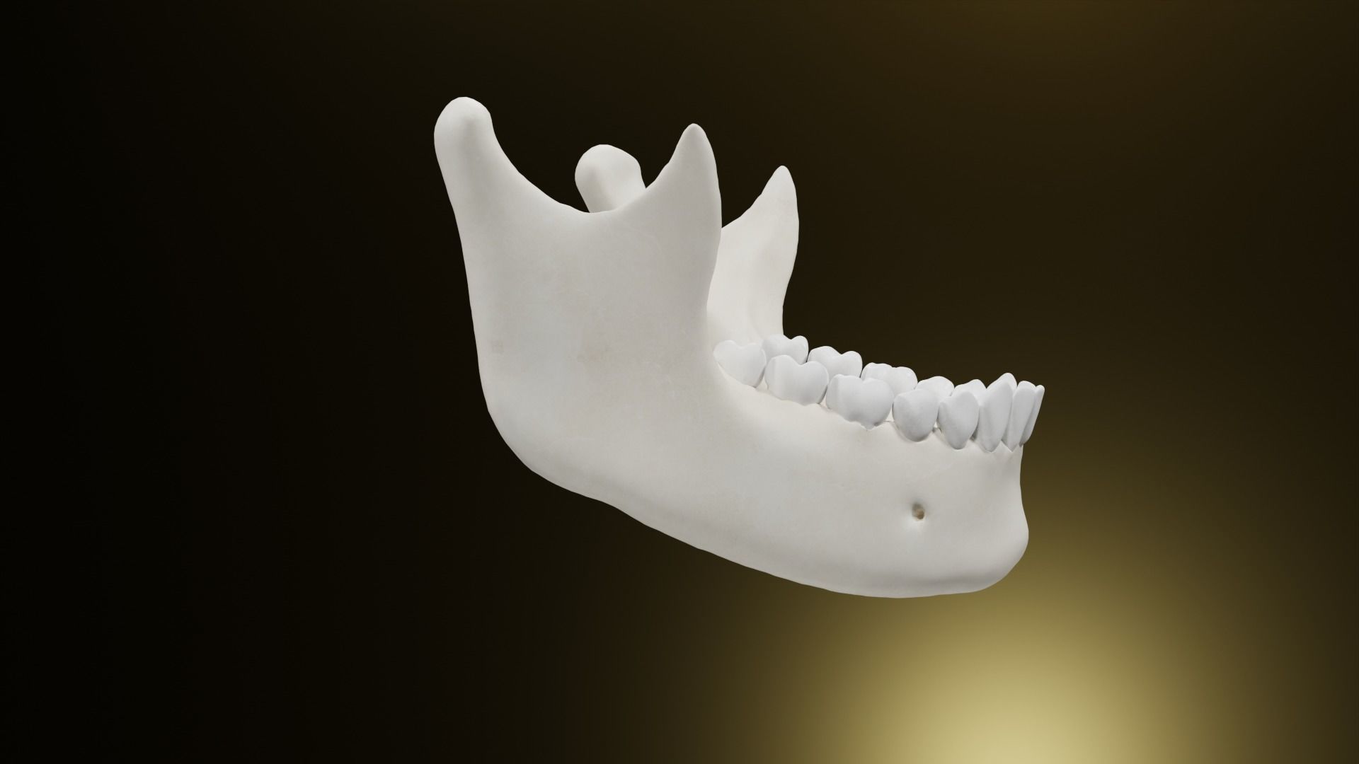 Human male skull and high detail human skull 3D model | CGTrader