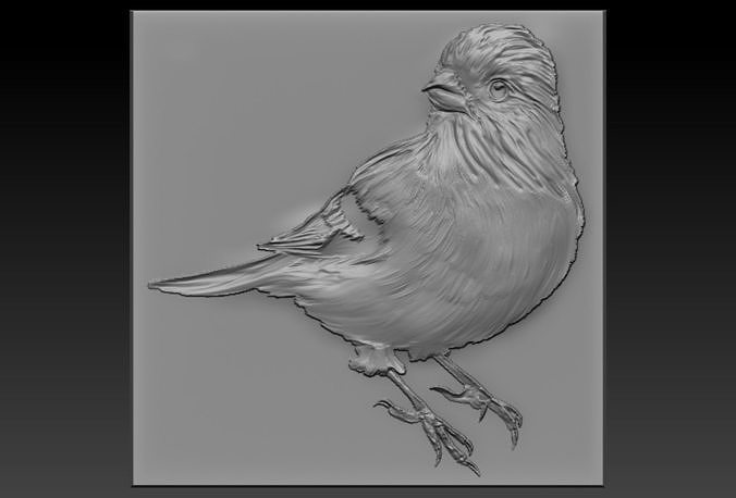 Birdd bird 3D model 3D printable | CGTrader