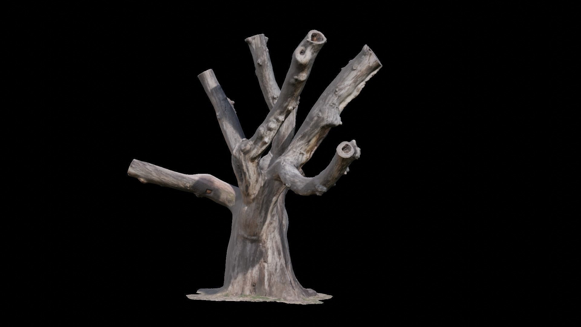 A well-organized pile of old trees 3D model | CGTrader