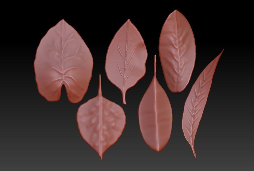 realistic ZB leaf brushes 3D printing leaf STL ZB Leaf Brush 3D model ...