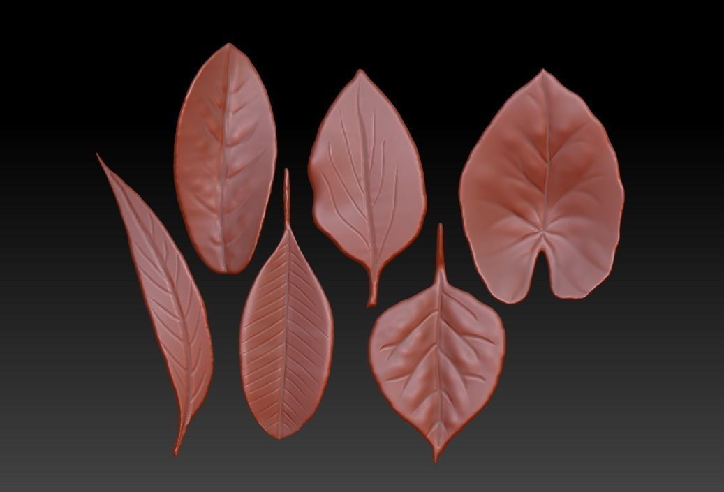 realistic ZB leaf brushes 3D printing leaf STL ZB Leaf Brush 3D model 3D printable | CGTrader