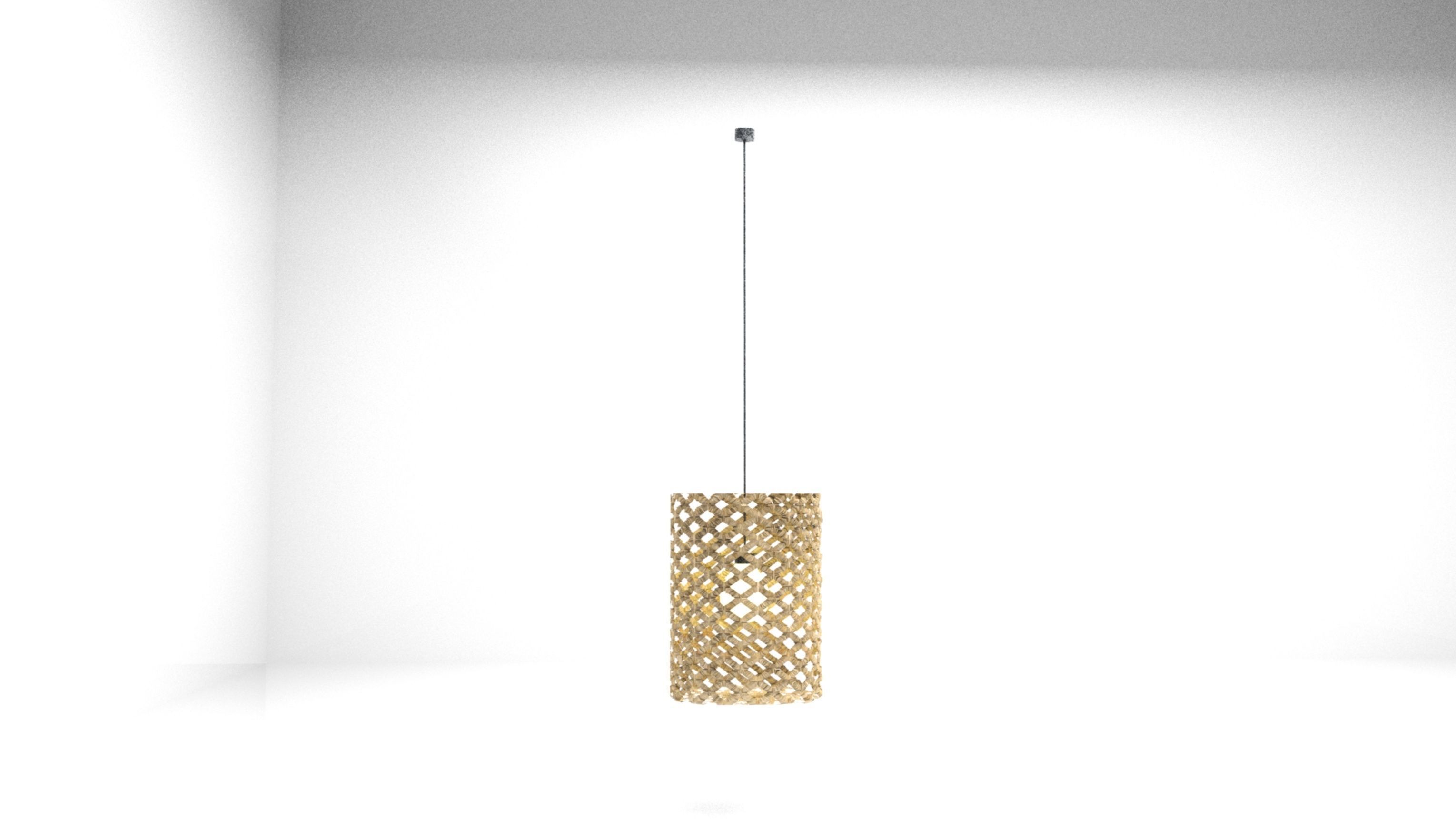 3D model 3D MODEL OF A DECORATIVE PARAMETRIC RATTAN CEILING CHANDELIER ...