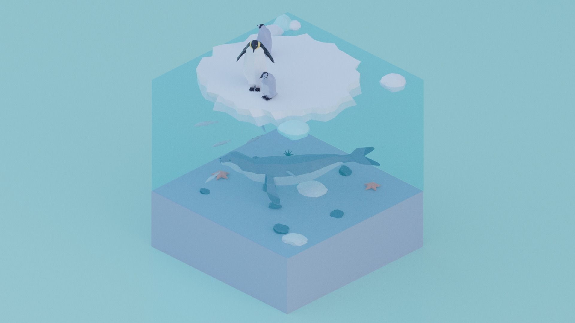 3D model Low poly aquatic scenes set VR / AR / low-poly | CGTrader