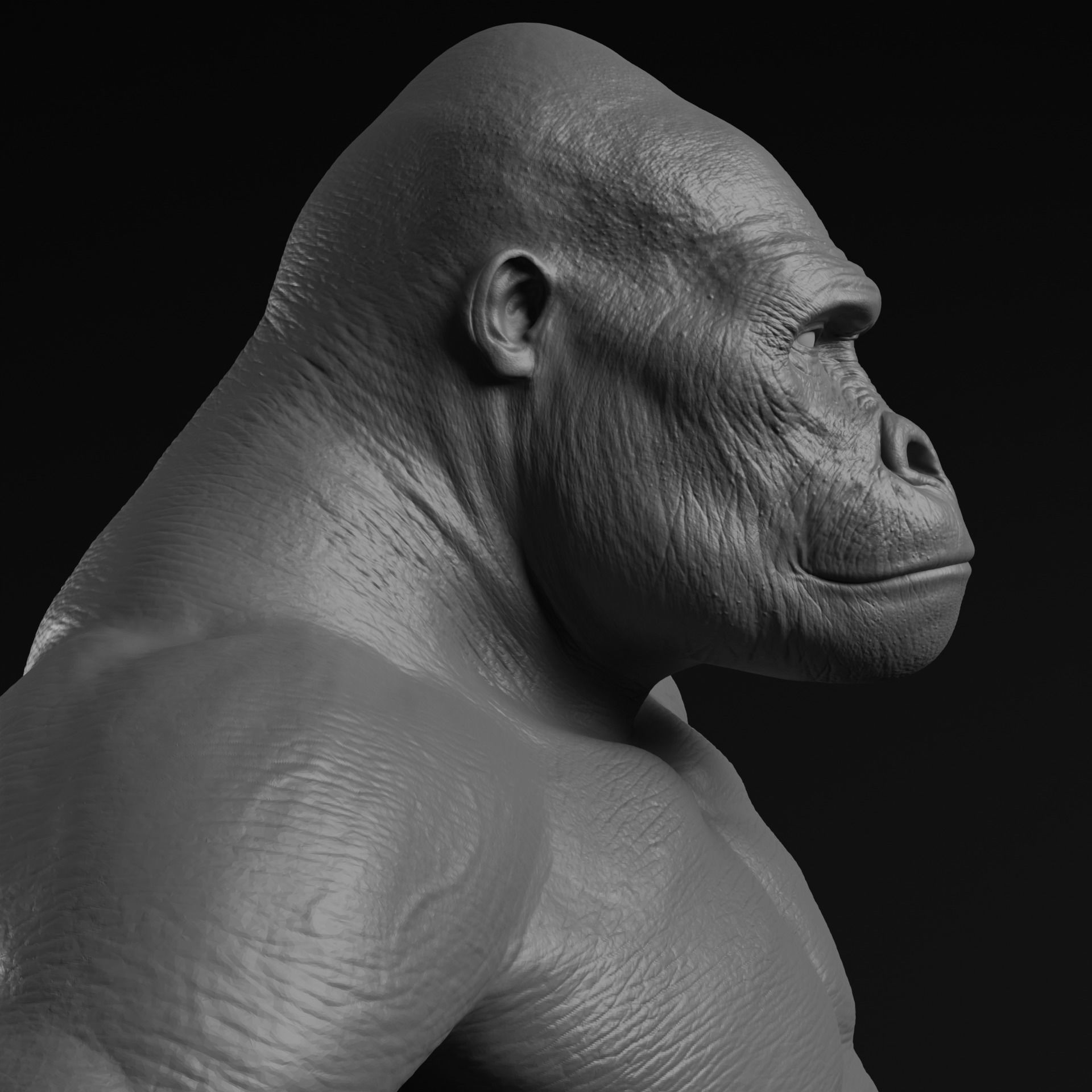 Gorilla - Highpoly Sculpture 3D model 3D model | CGTrader