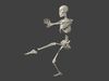 Skeleton With Rig 3D model rigged | CGTrader