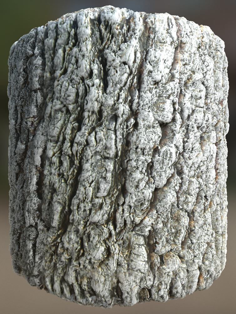 10 Tree Bark Material sbsar file and 4k PBR Textures Texture | CGTrader