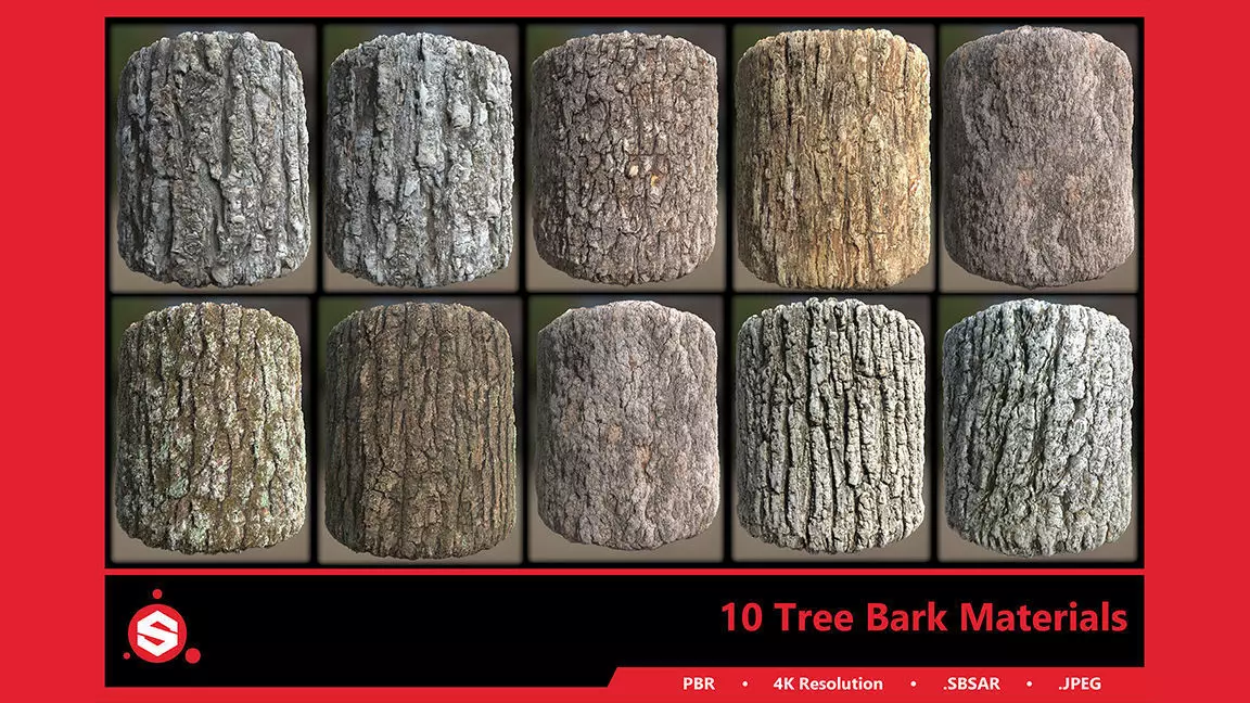 10 Tree Bark Material sbsar file and 4k PBR Textures Texture | CGTrader