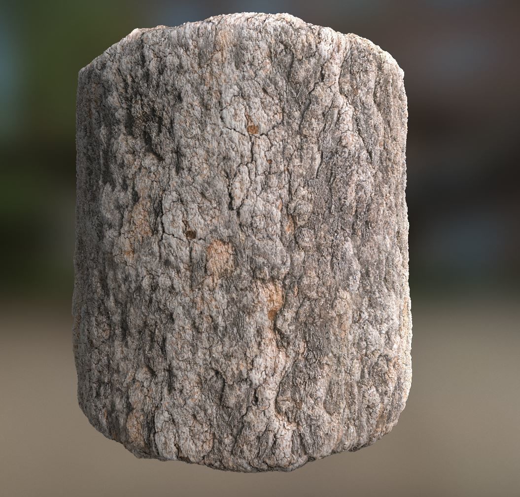 10 Tree Bark Material sbsar file and 4k PBR Textures Texture | CGTrader