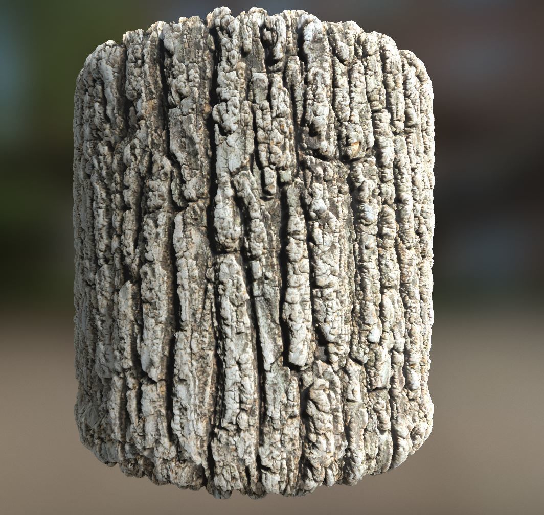 10 Tree Bark Material sbsar file and 4k PBR Textures Texture | CGTrader