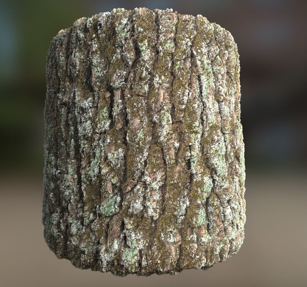 10 Tree Bark Material sbsar file and 4k PBR Textures Texture | CGTrader