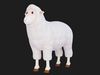 3D model cartoon sheep VR / AR / low-poly | CGTrader