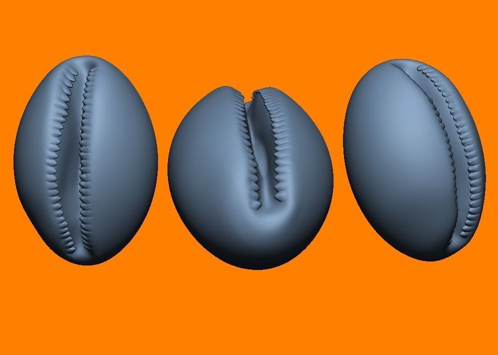 Sea Shells pack 01 3D Printable Models 3D model 3D printable | CGTrader