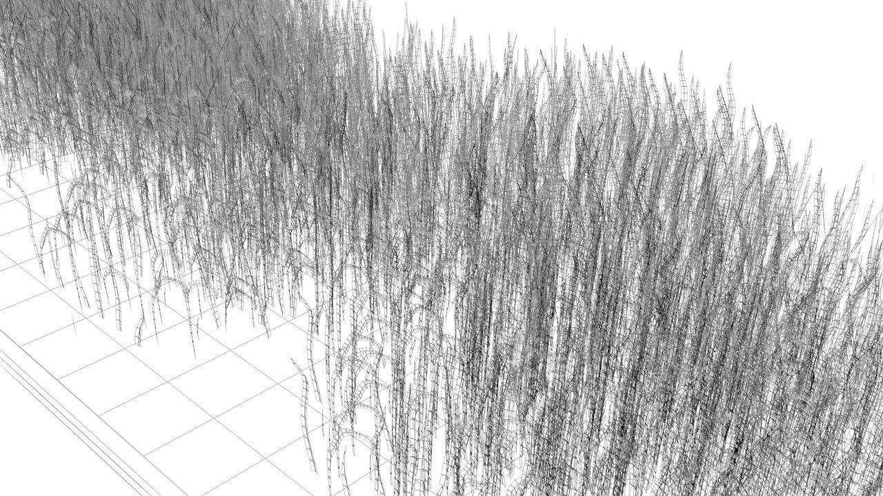 Walk Path With Grasses 3D model | CGTrader