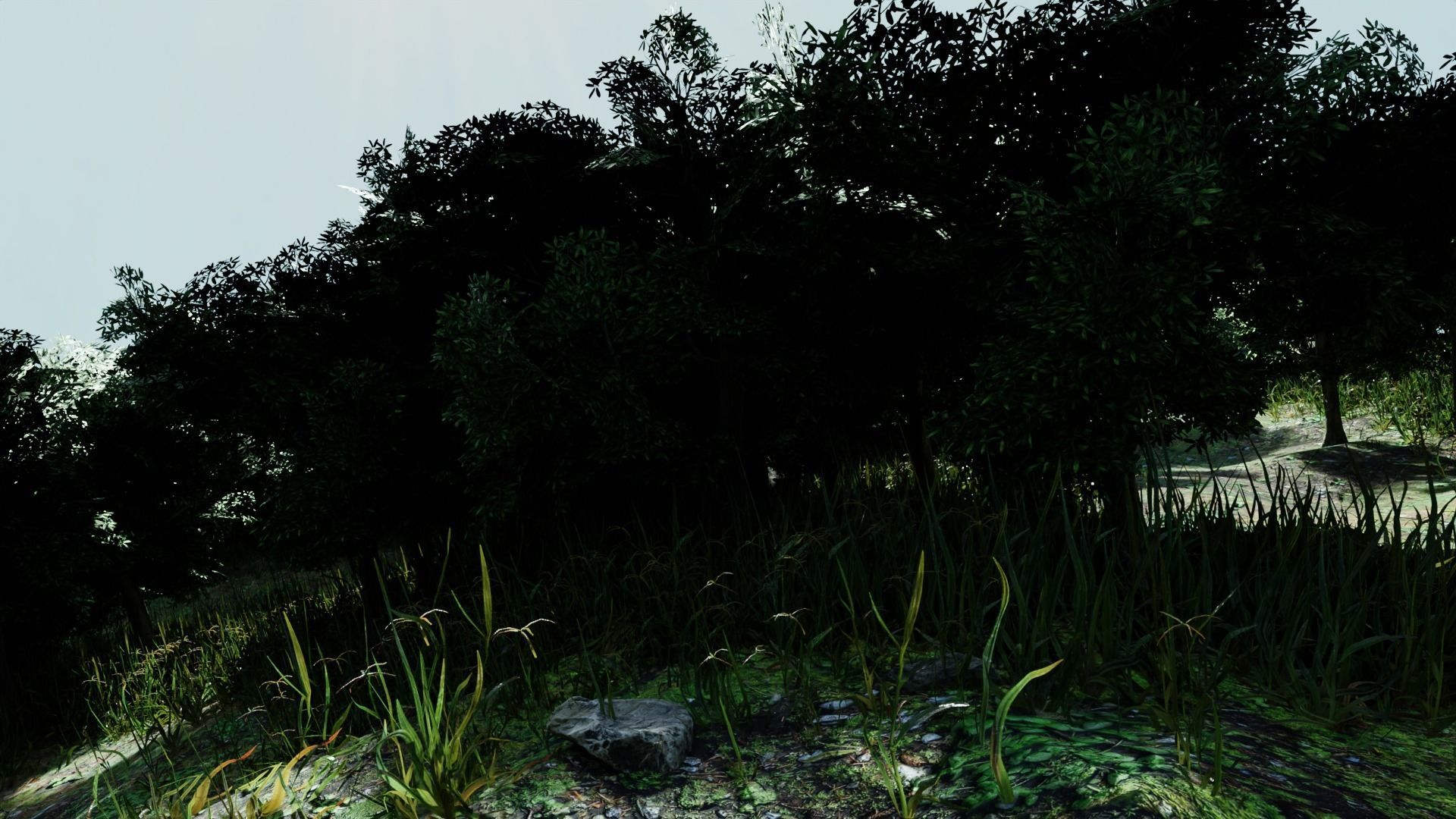 3D model low-ploy 3D models Forest VR / AR / low-poly | CGTrader