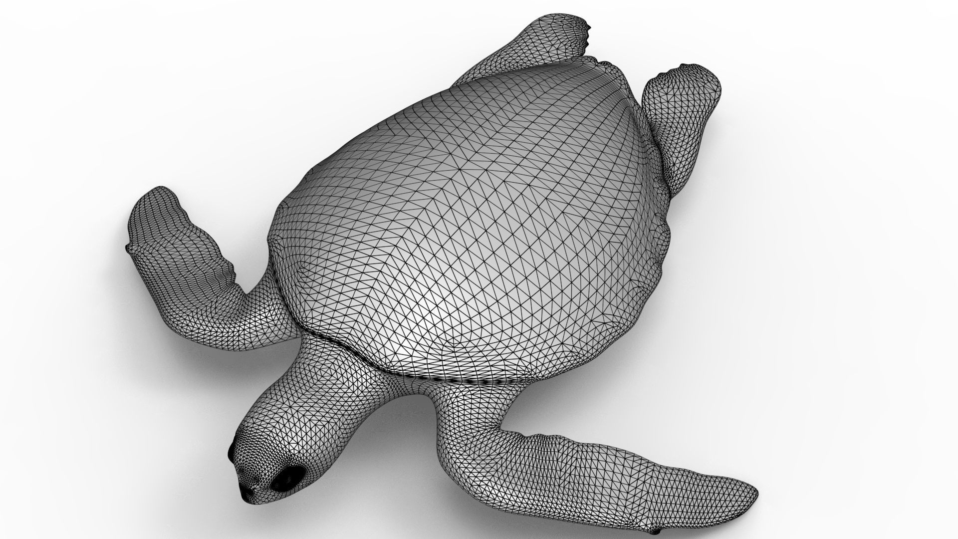 Sea Turtle 3D model | CGTrader