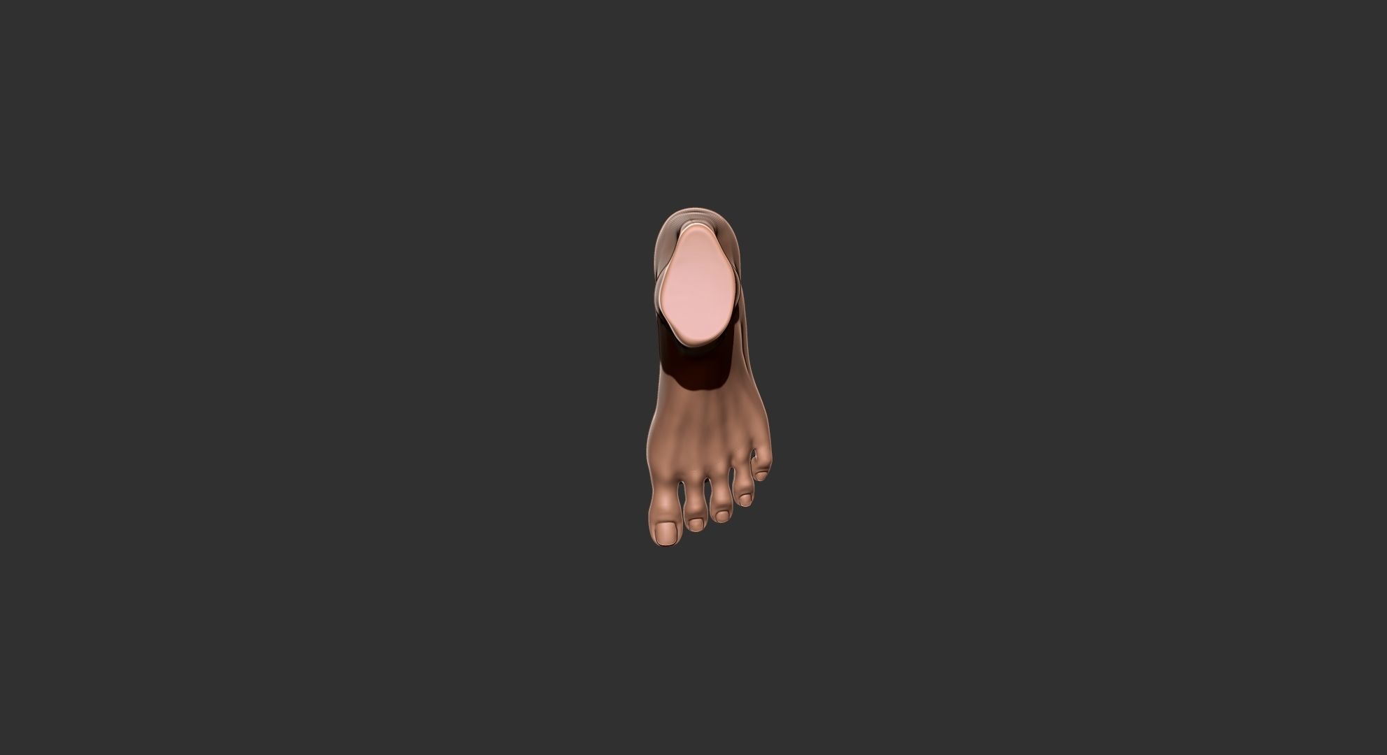 Foot low free 3D model | CGTrader