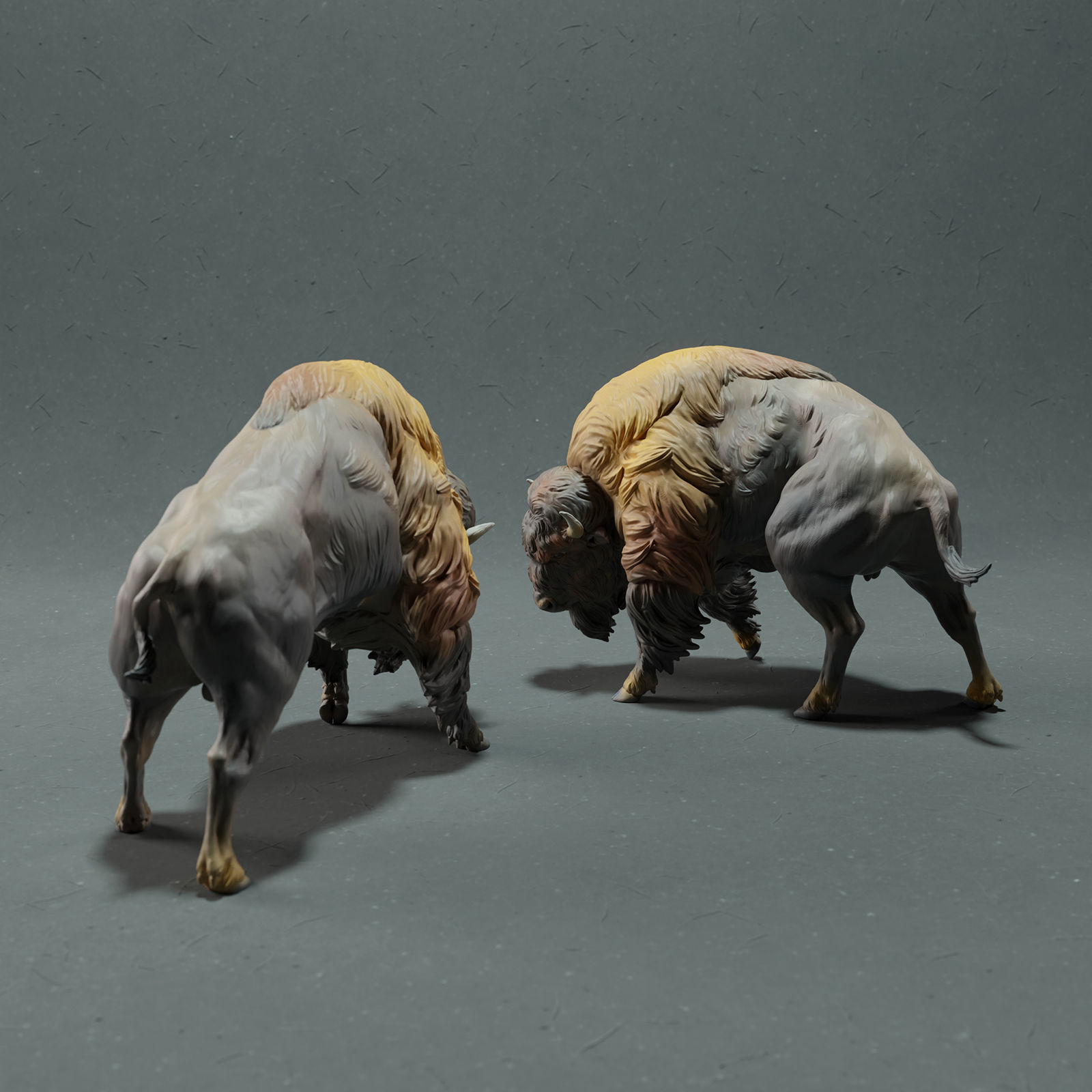 American Bison - Fight 3D model 3D printable | CGTrader