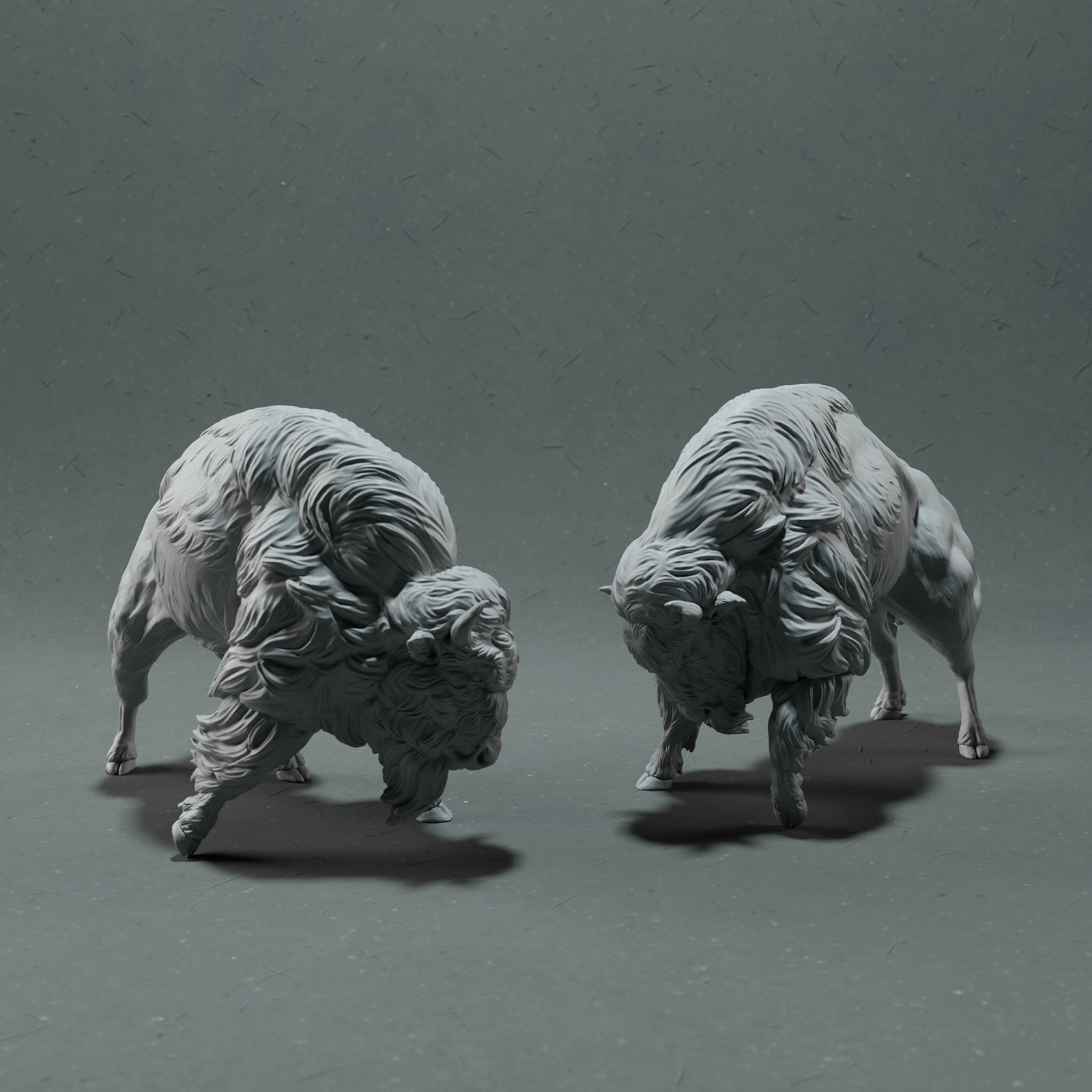 American Bison - Fight 3D model 3D printable | CGTrader