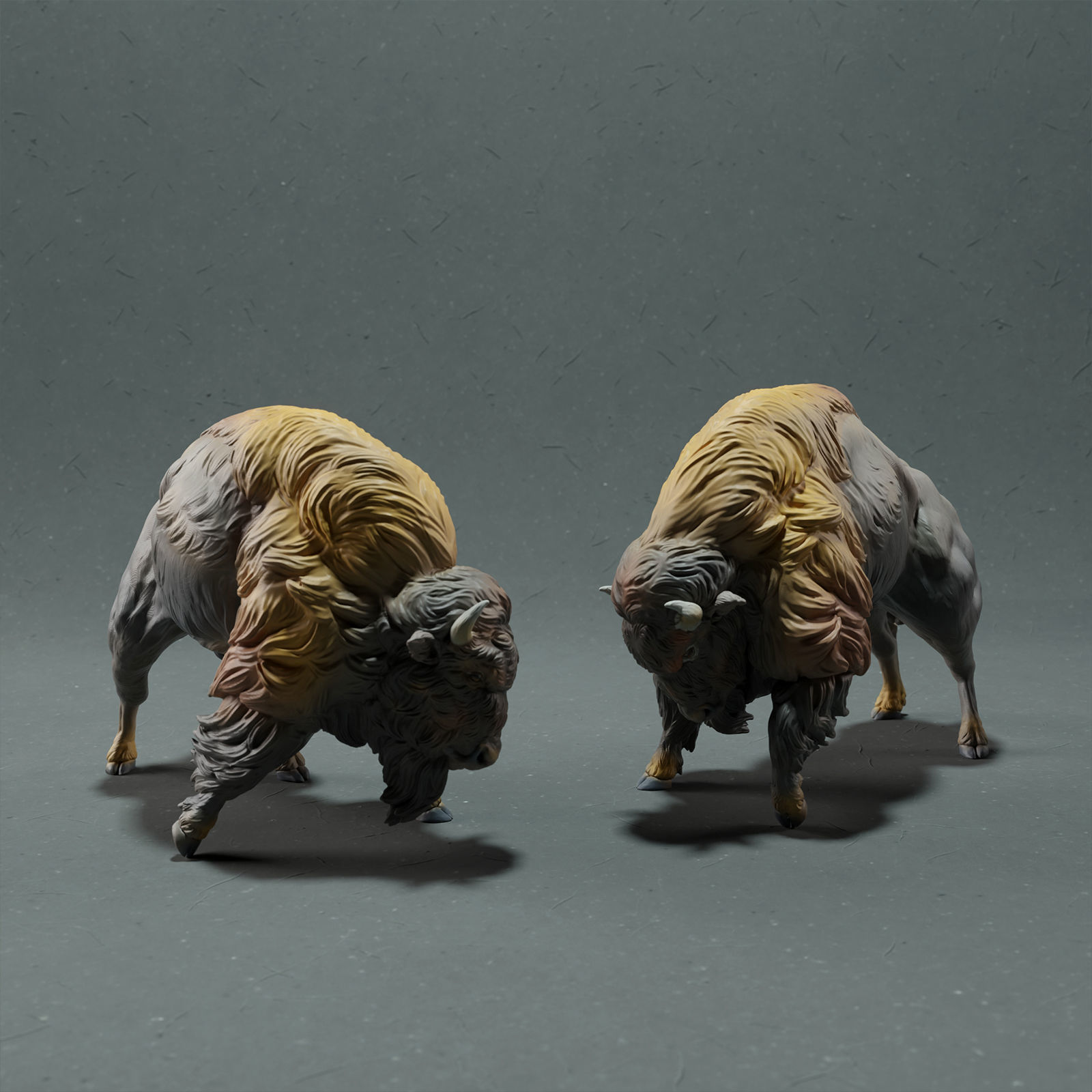 American Bison - Fight 3D model 3D printable | CGTrader