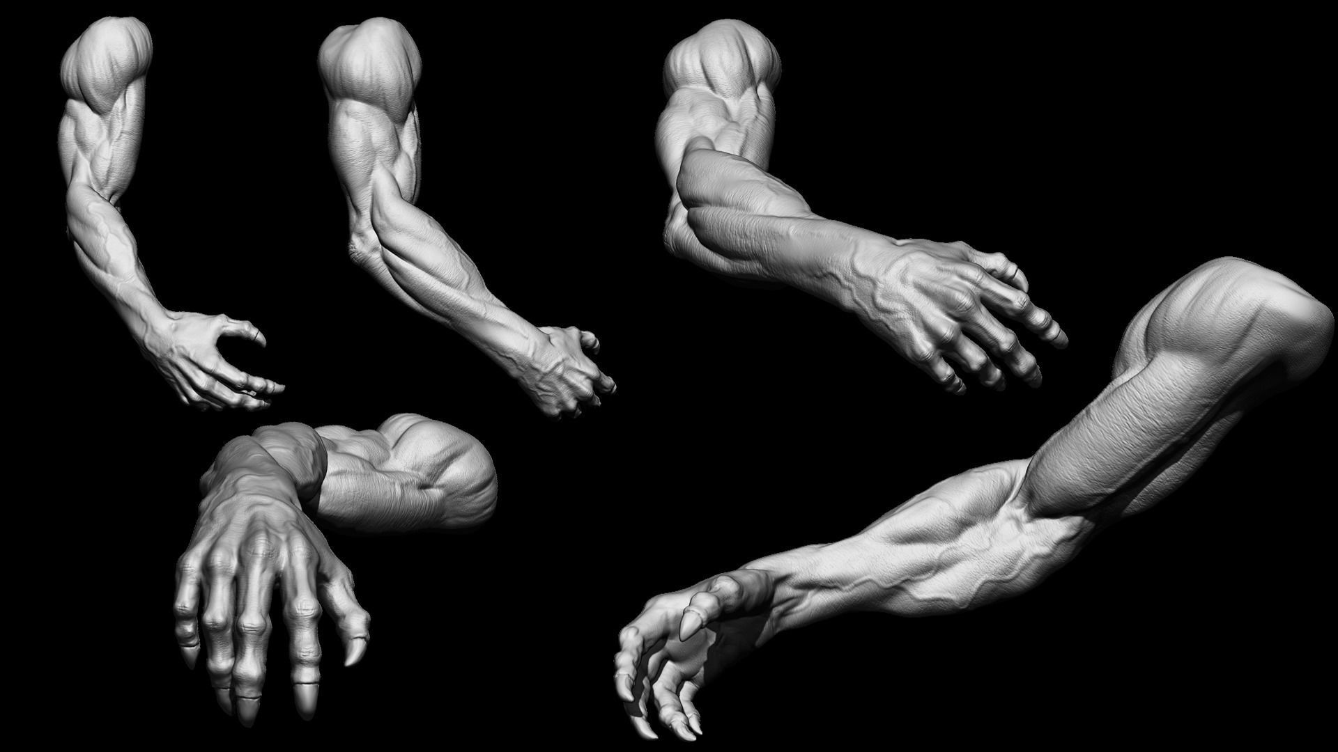 human and monster arms 3D model | CGTrader