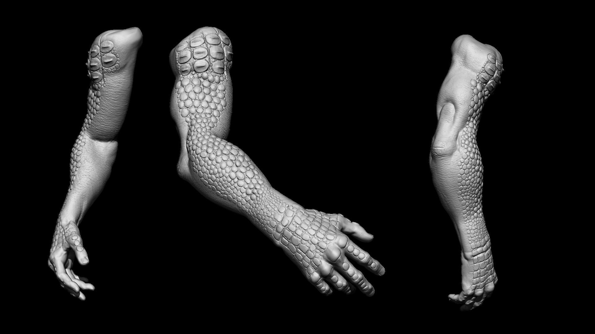 human and monster arms 3D model | CGTrader