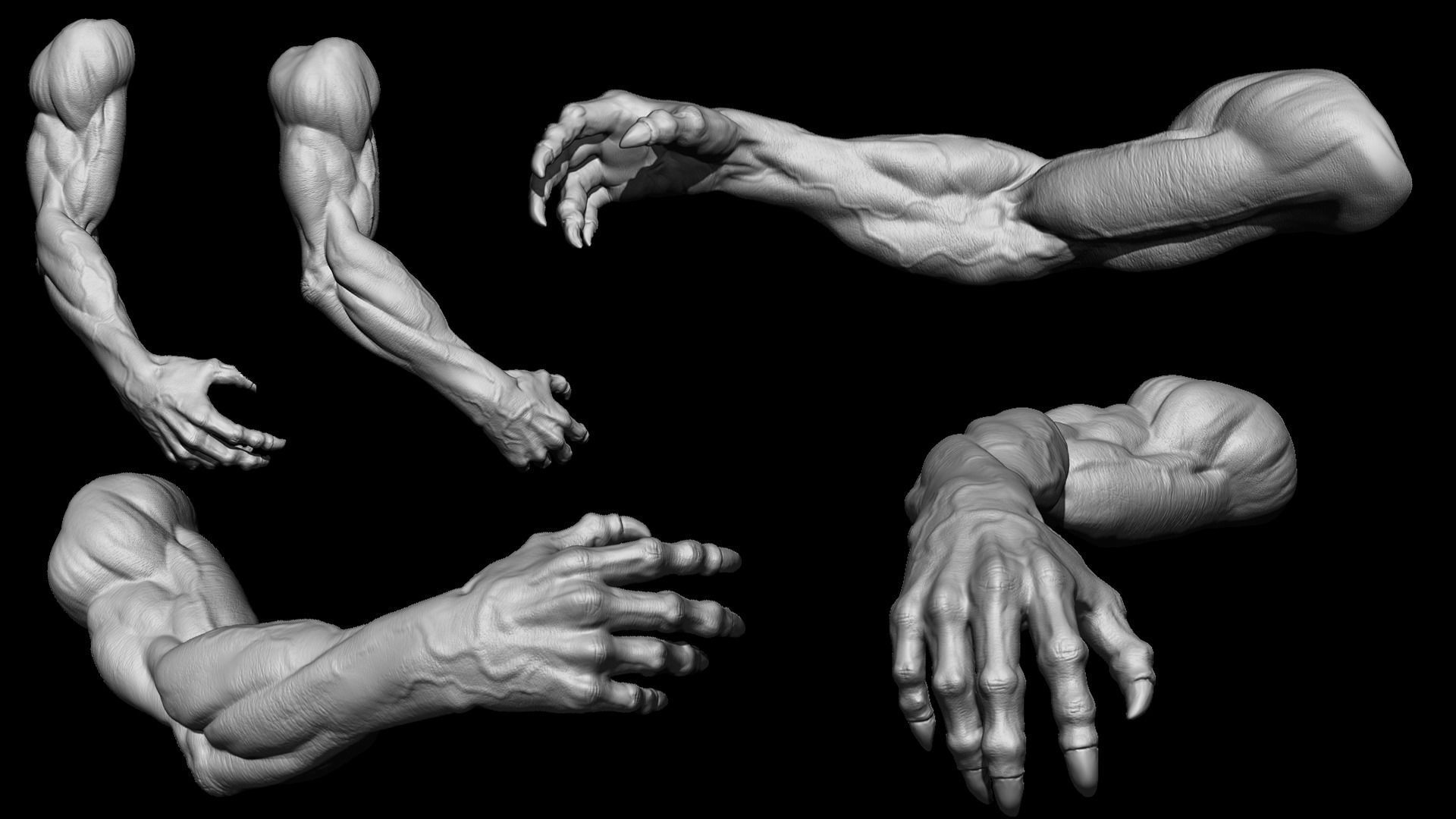 human and monster arms 3D model | CGTrader