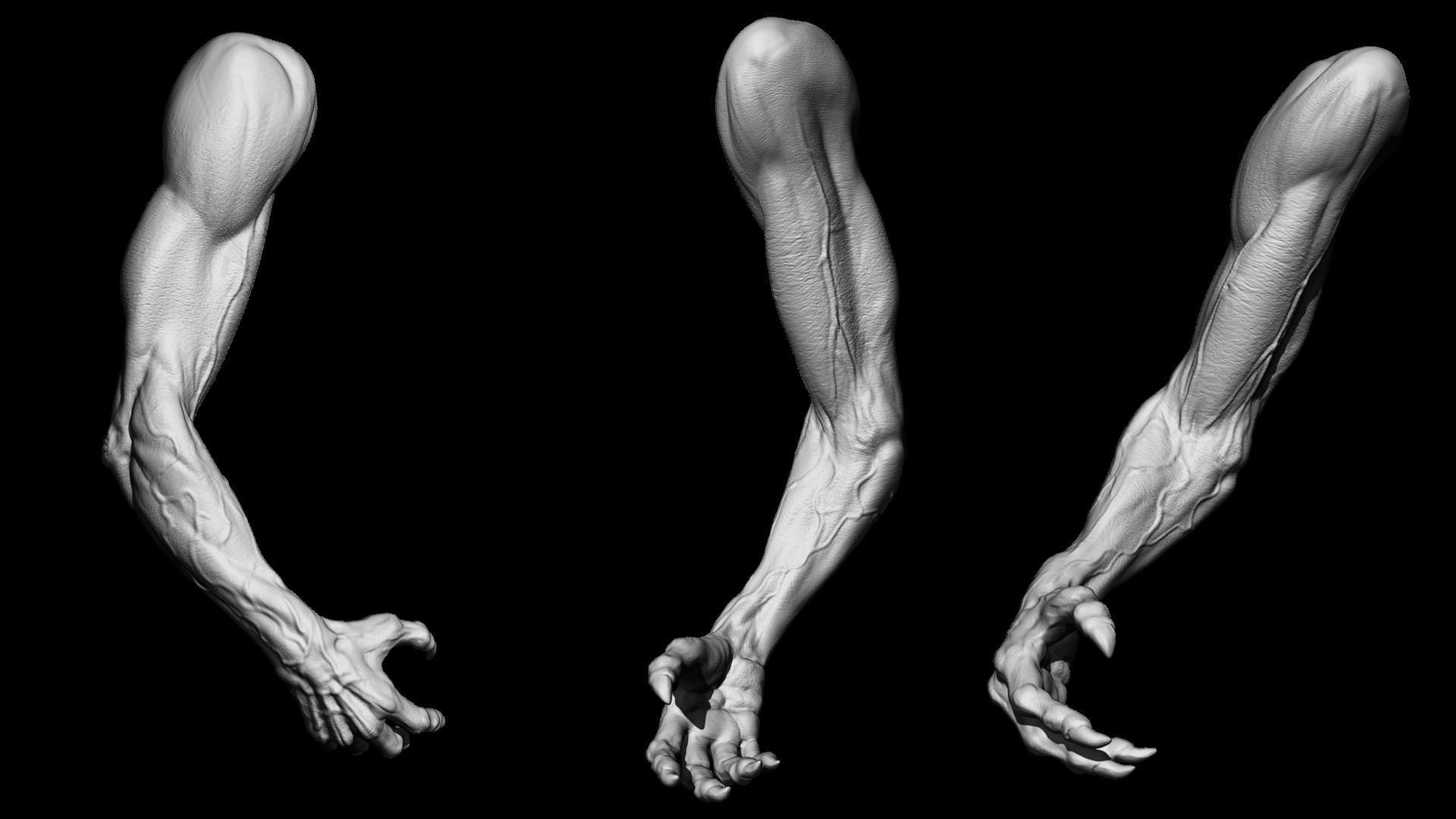 human and monster arms 3D model | CGTrader