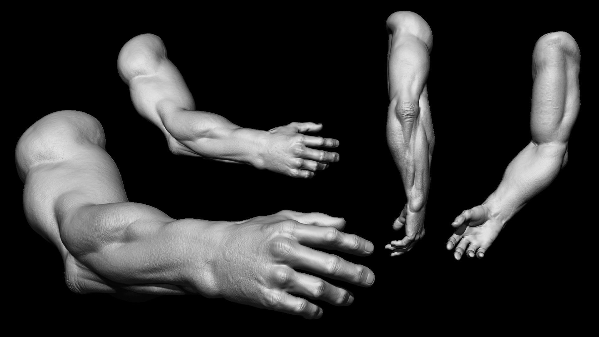 human and monster arms 3D model | CGTrader