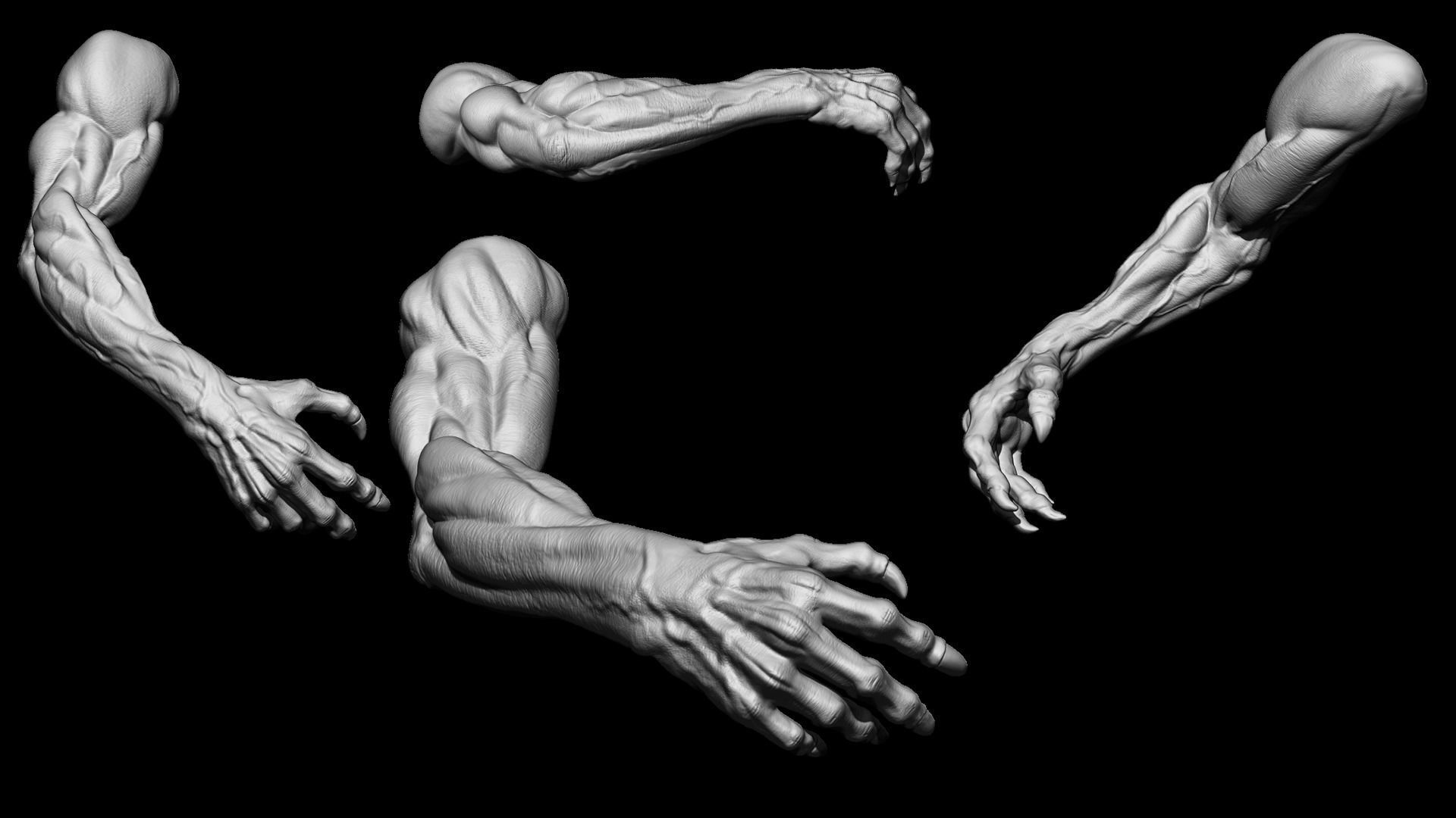 human and monster arms 3D model | CGTrader