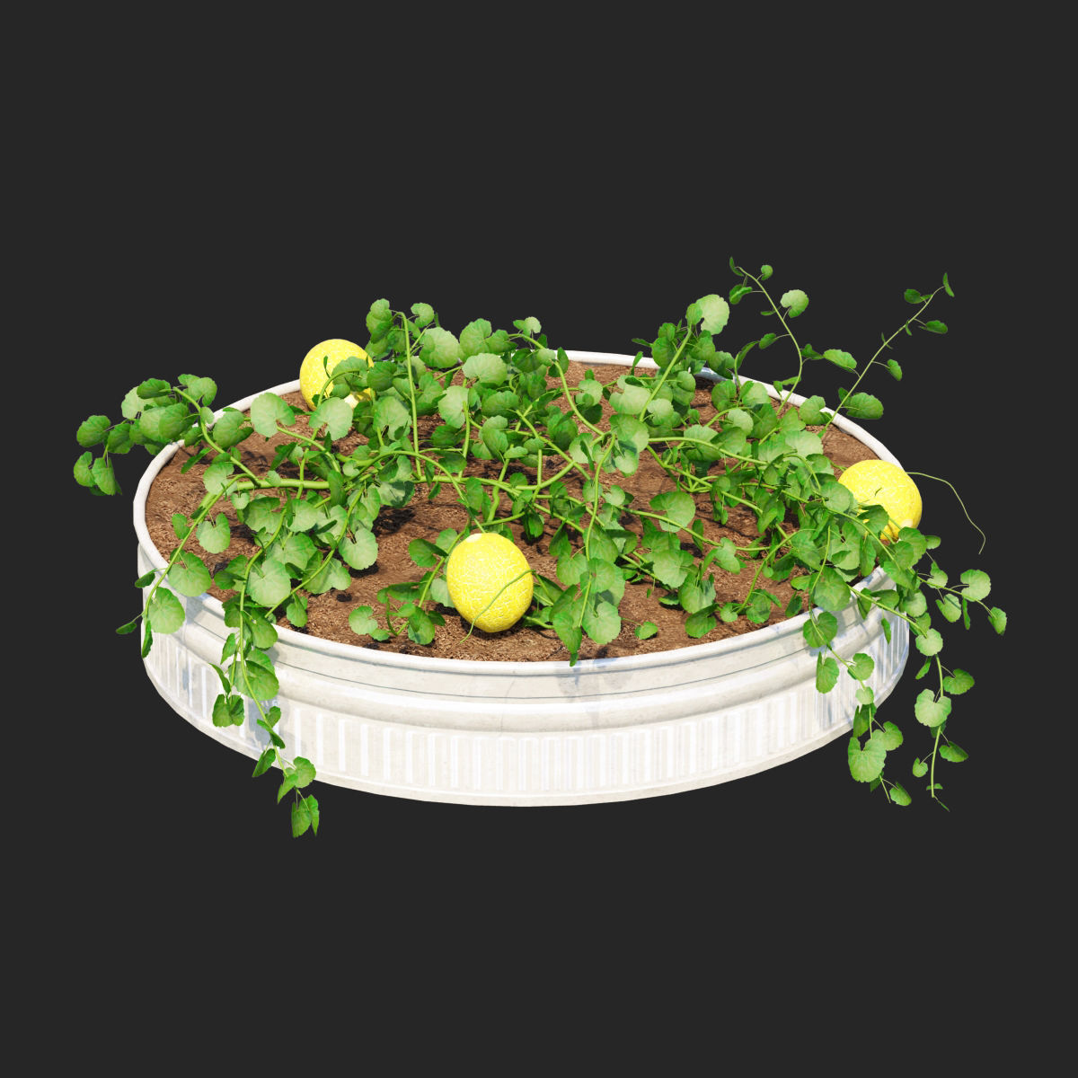 Kitchen garden vol 2 3D model | CGTrader