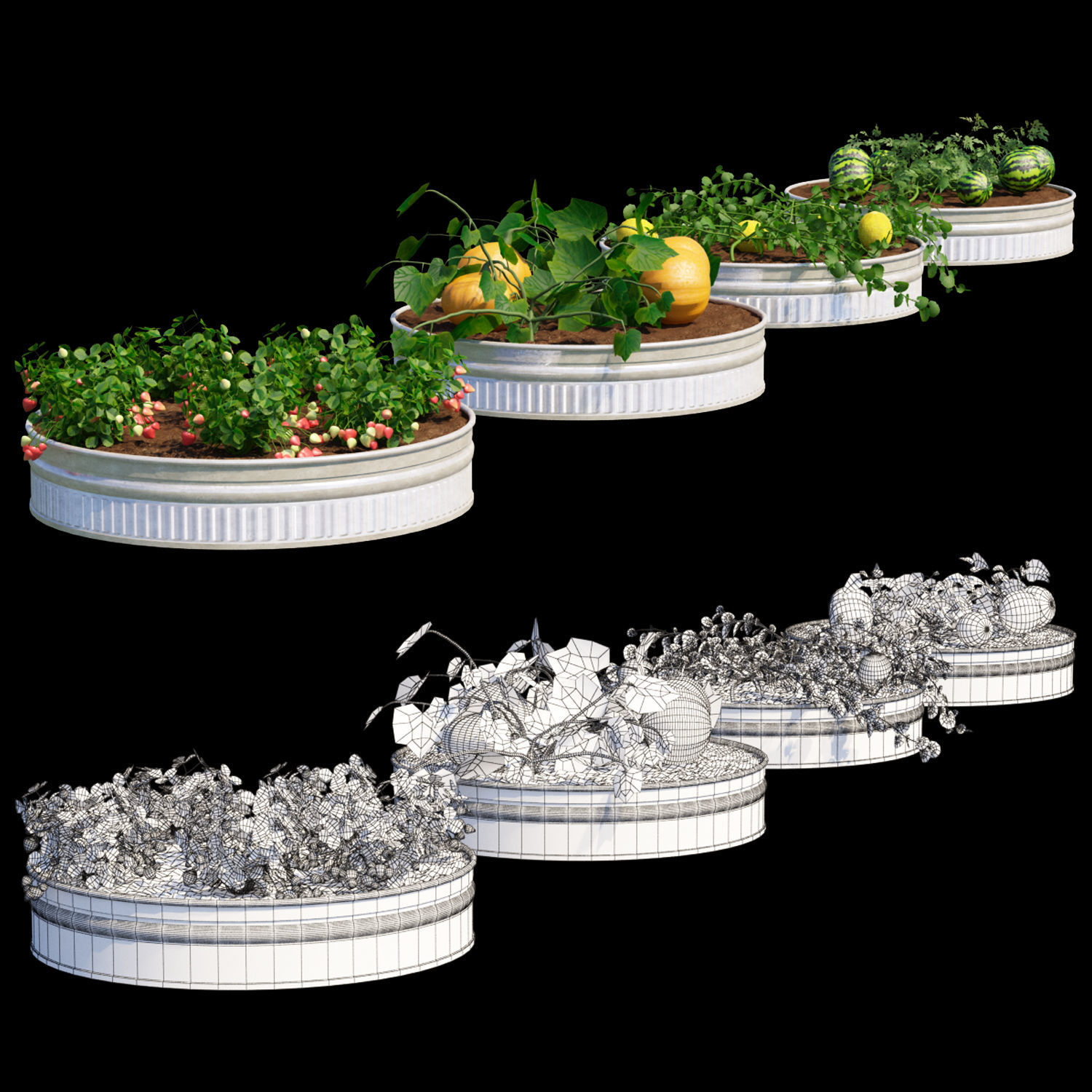 Kitchen garden vol 2 3D model | CGTrader