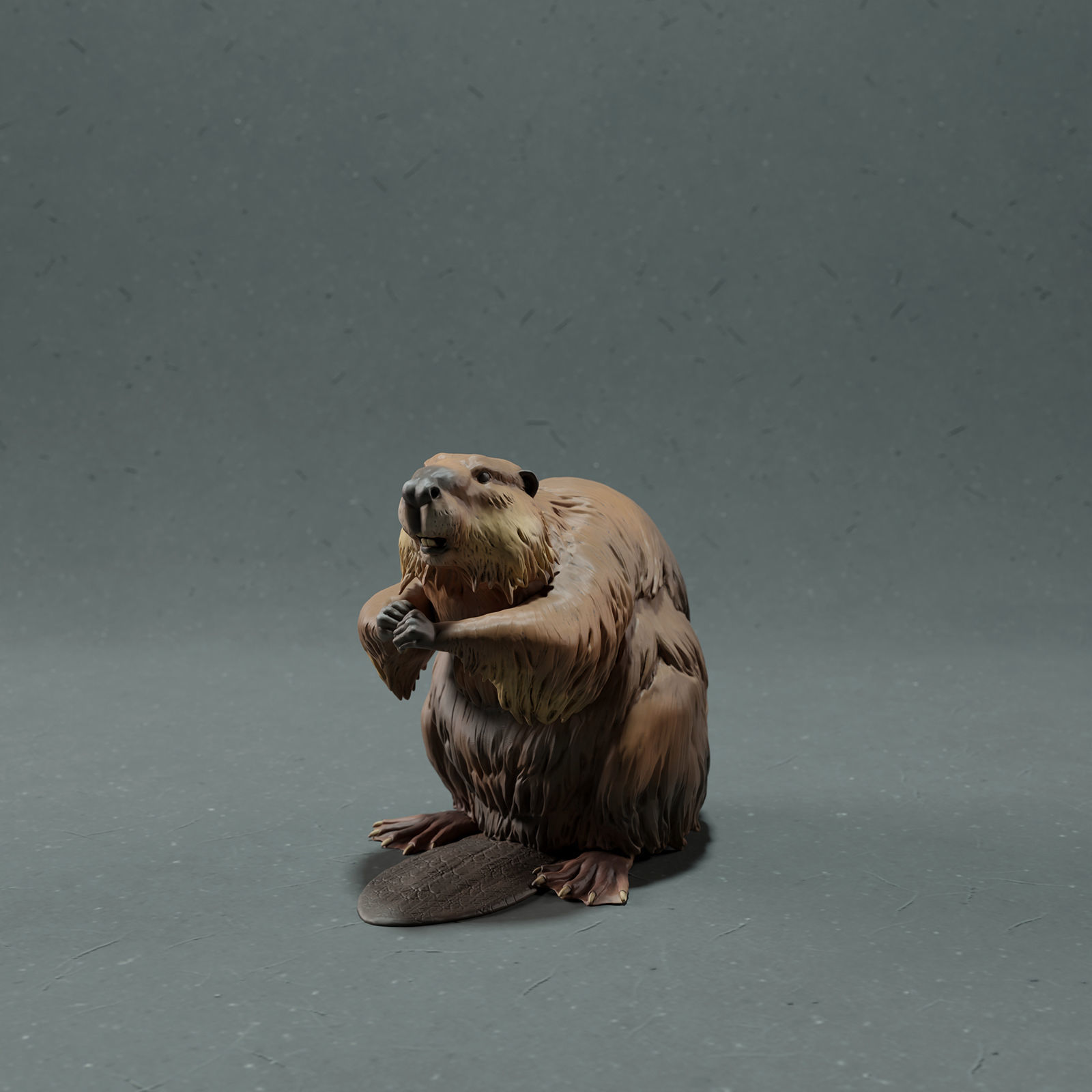 American Beaver 3D model 3D printable | CGTrader