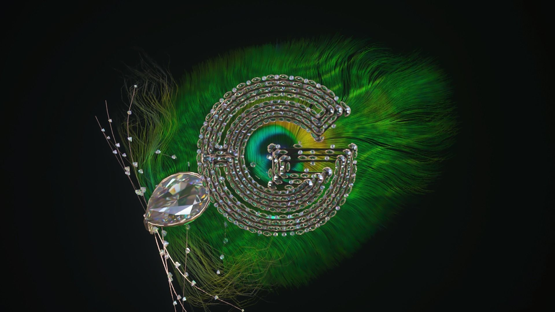 Peacock feather free 3D model | CGTrader