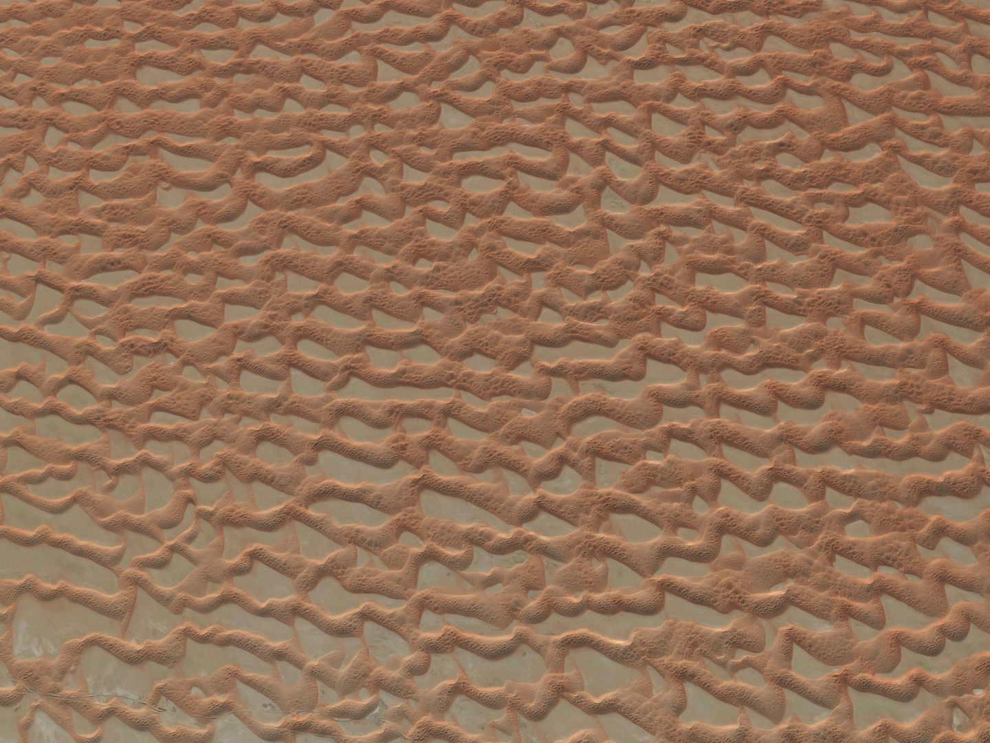 Wet Sandy Terrain 3D model | CGTrader
