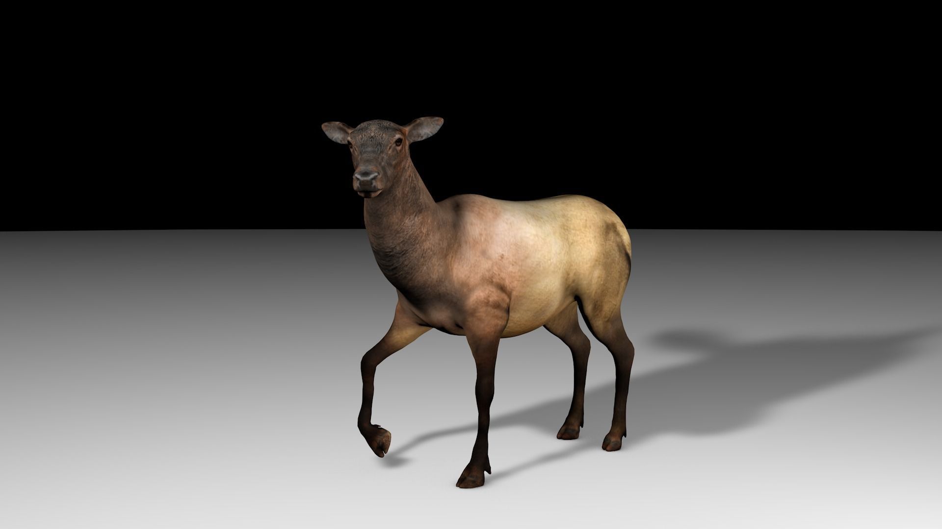 3D model Rigged Elk Doe VR / AR / low-poly | CGTrader