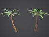 3D model Stylized Palm Tree 01 VR / AR / low-poly | CGTrader