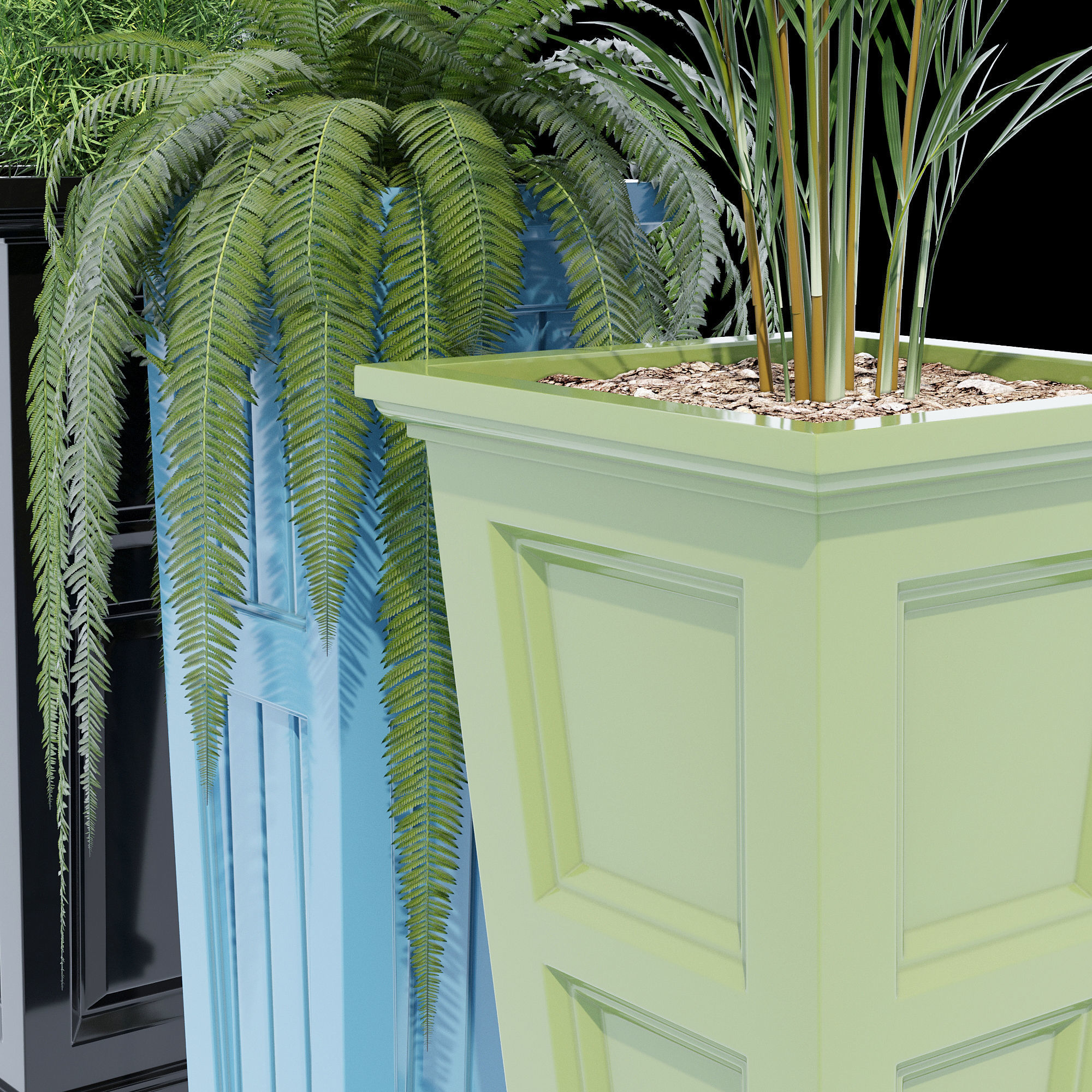 Amazon tall 3D model | CGTrader