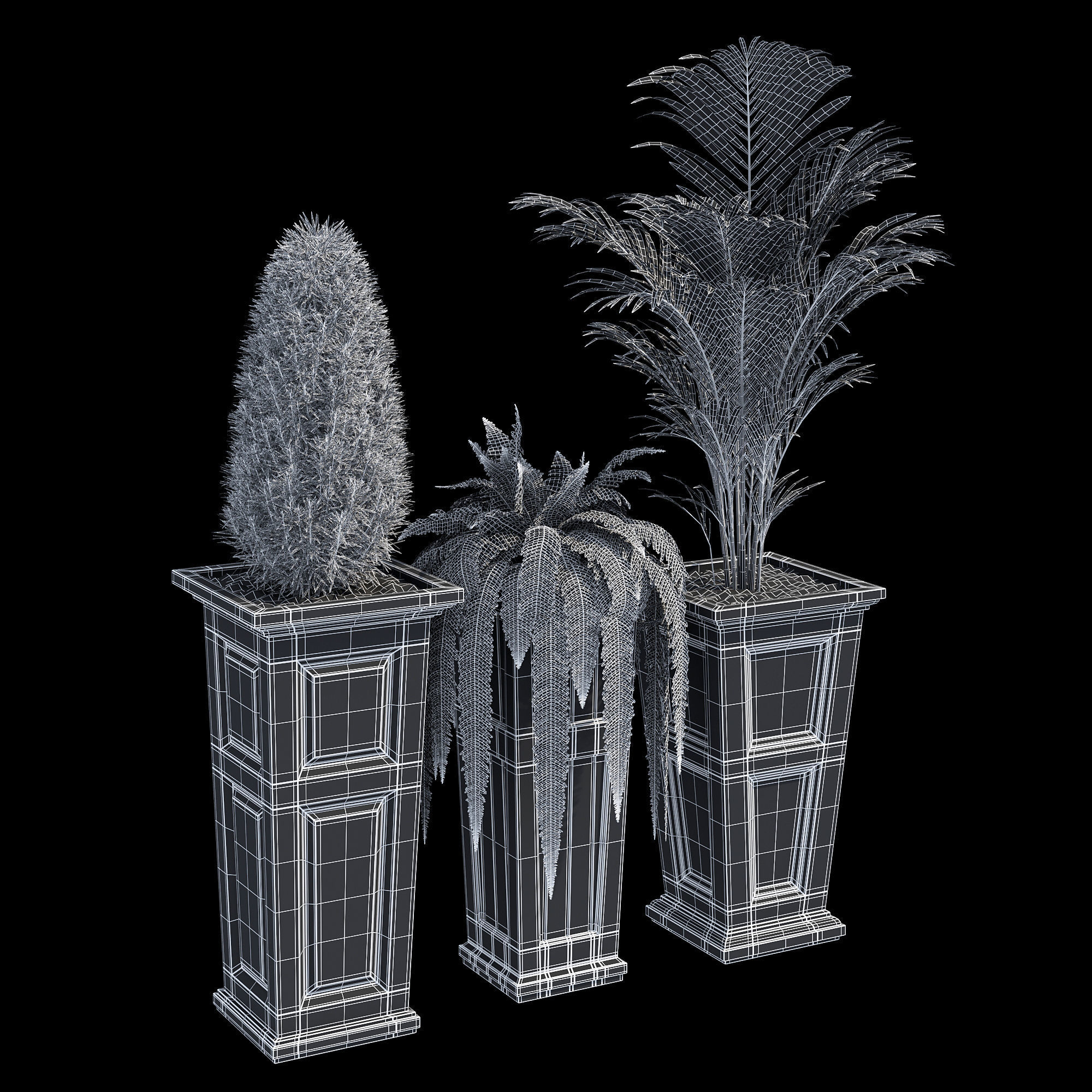 Amazon tall 3D model | CGTrader