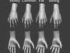 4 types of hand skinny common fat and strong 3D model | CGTrader