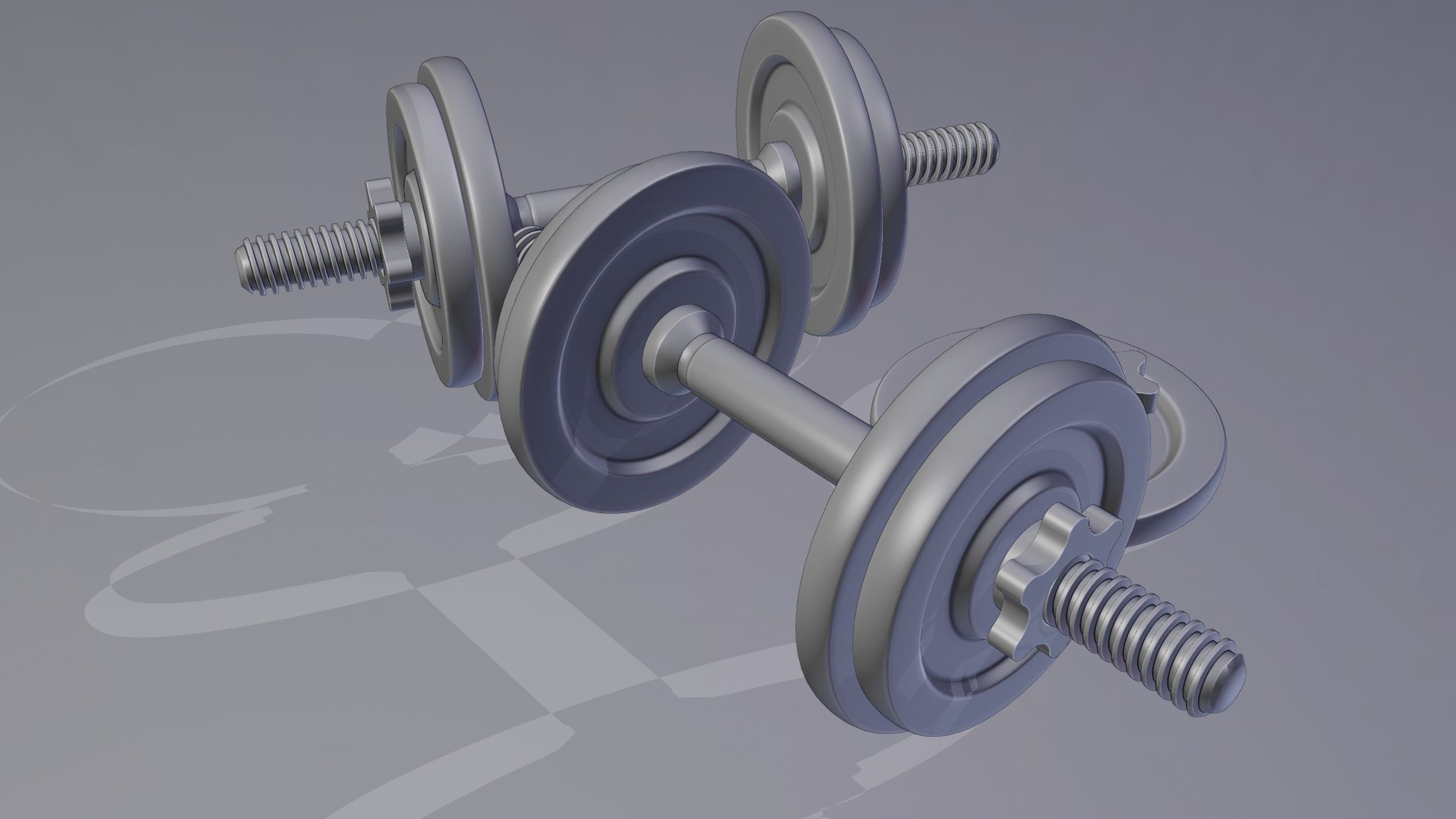 Dumbbell Weights 3D model | CGTrader